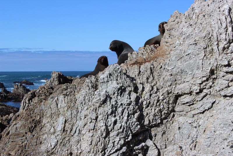Rock, Promontory, Coast, Cliff Picture. Image: 113372858