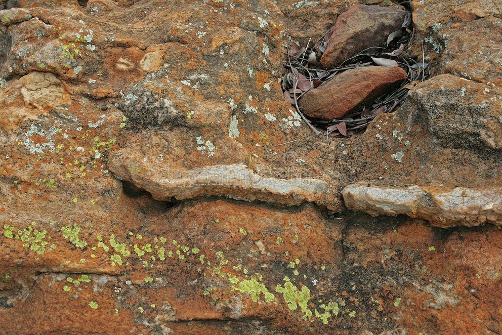 Ridges on a Rock with Lichen Growing Stock Photo - Image of brown ...
