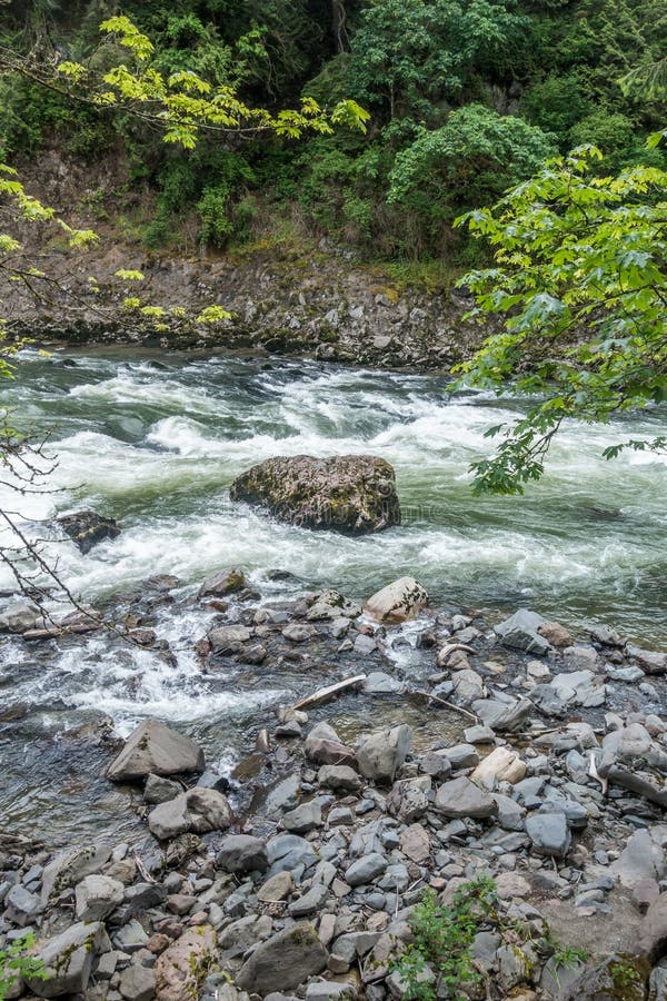 Rock and Rapids 4 stock photo. Image of river, northwest - 72765842