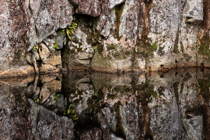 Rock Reflectin To Still Water in Forest Lake Stock Photo - Image of ...