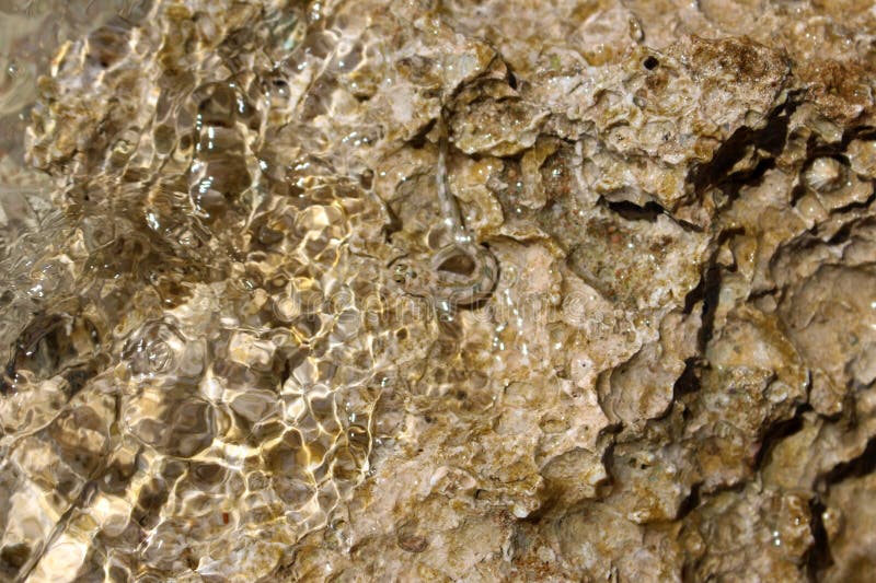 Submerged Rock with Reflective Water Surface Creating a Shimmering ...