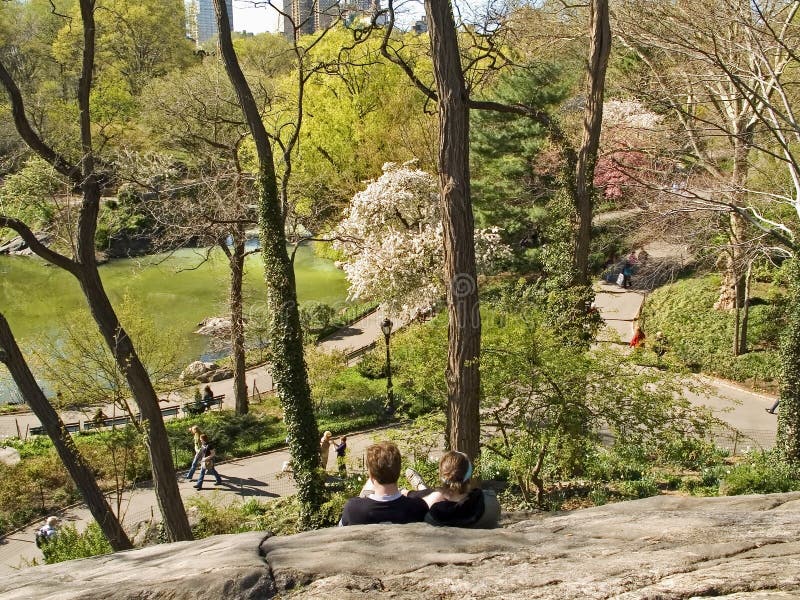 Rock Rest 2 Picture. Image: 816955