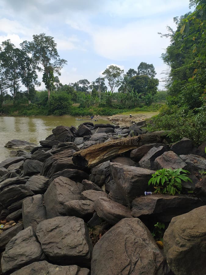 Rock by the river stock photo. Image of tree, river - 223429016