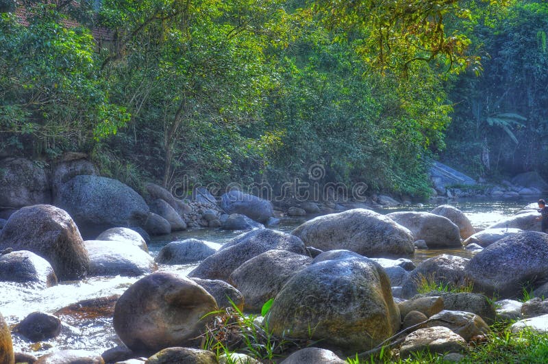 Rock at the River within Different Size Stock Image - Image of jungle ...