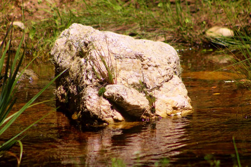 Rock river runs through it stock photo. Image of river - 110825306