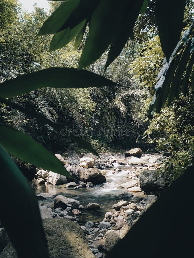 Rock River See Trough the Leaves Stock Image - Image of nature, rock ...