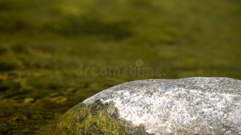 Rock in a river stream stock image. Image of foliage - 198021307