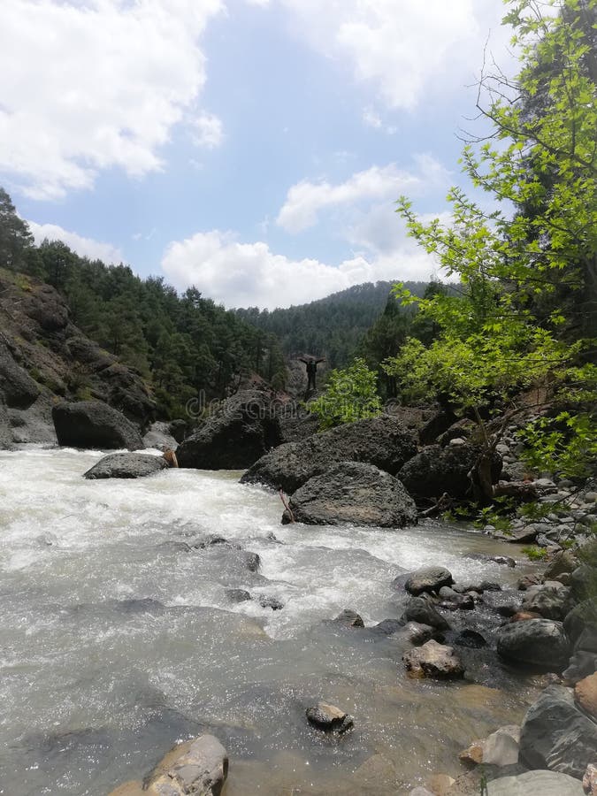 Rock, river and trees stock image. Image of gorgeous - 148209605