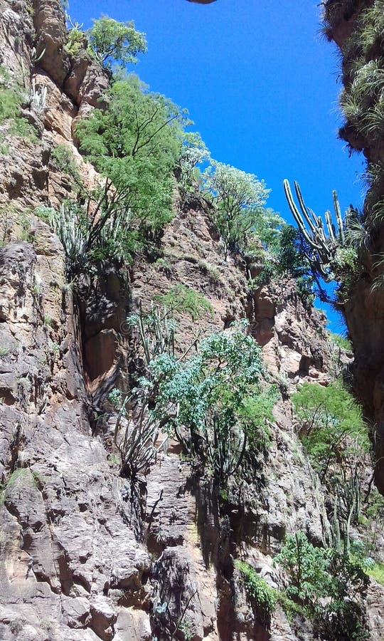 Rock stock photo. Image of covered, vegetation, rock - 103075654