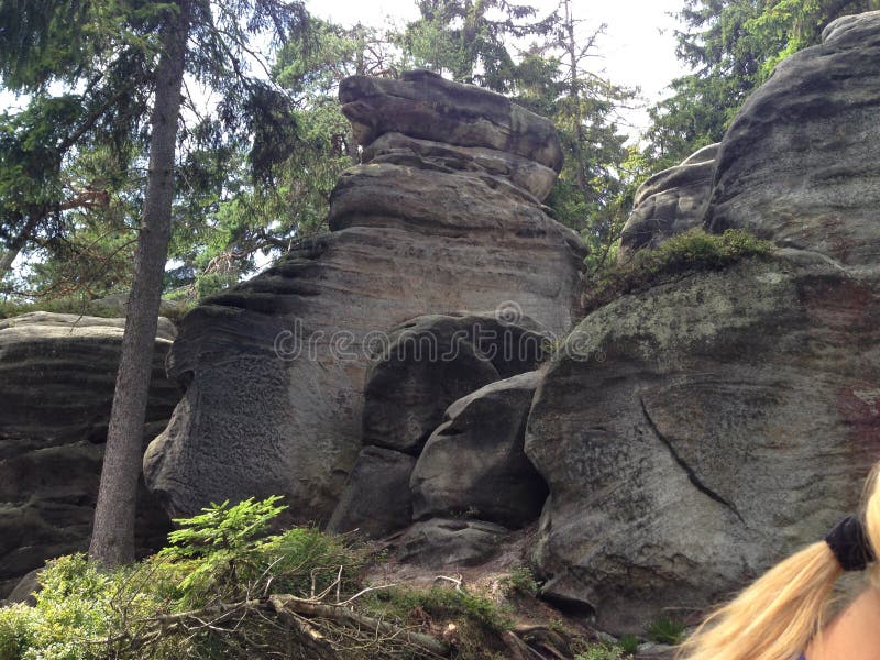 Rock stock photo. Image of hike, forest, rock, nature - 163889898