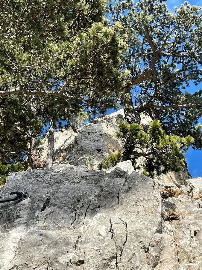 A rock with ropes to climb stock image. Image of travel - 215165255