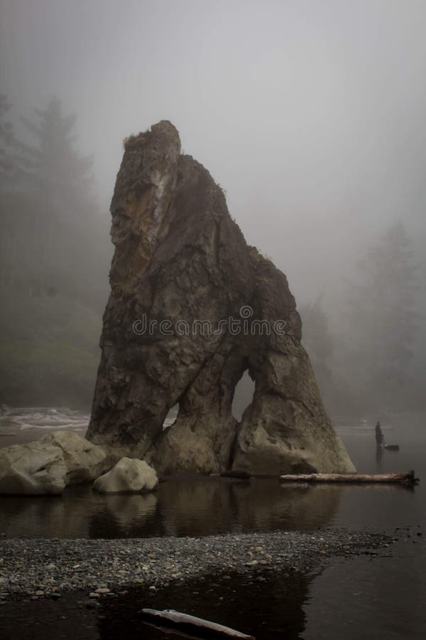 Rock at Ruby Beach stock image. Image of rock, washington - 183101445