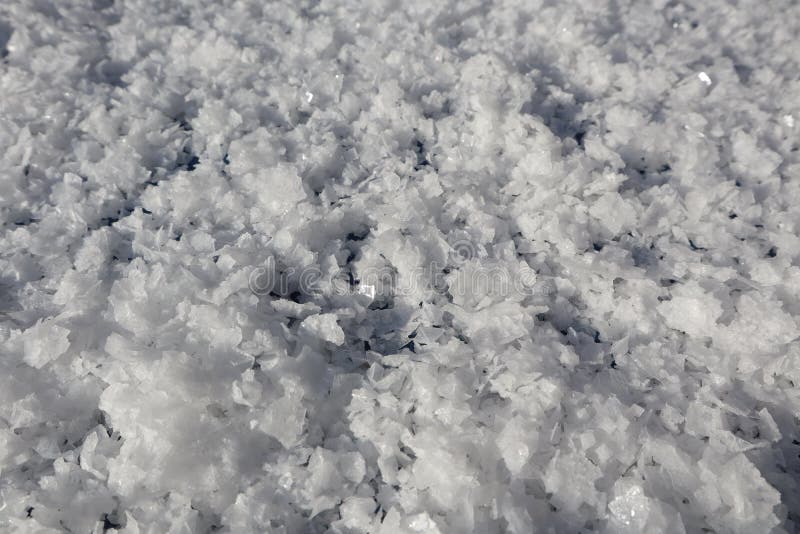 This is a Rock Salt Being Dried in the Sun. Stock Photo - Image of salt ...
