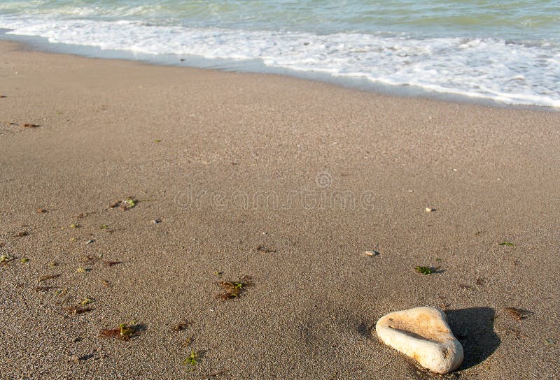 Rock in the sand stock image. Image of heartshaped, shore - 87323385