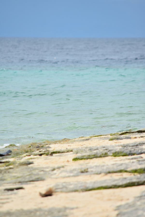 A Rock and Sand Ocean Beach Editorial Photo - Image of gravel, geology ...