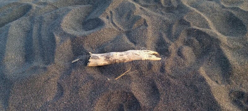 Rock in the Sand of South Java Stock Photo - Image of geology, coast ...
