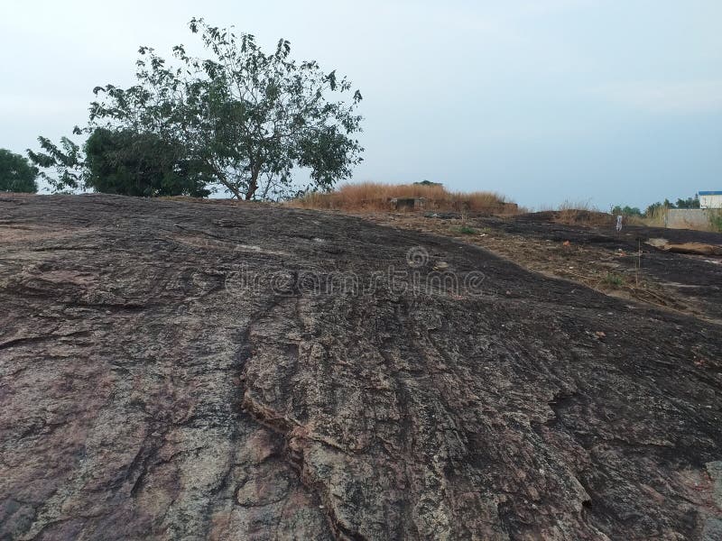 Rock scenery in kerala stock photo. Image of soil, tree - 224078302