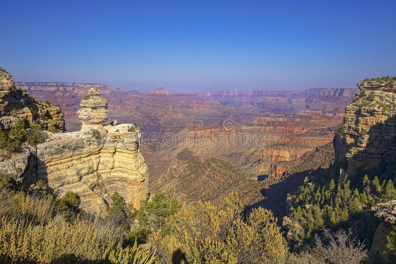 Duck on a Rock Formation, Grand Canyon Stock Image - Image of america ...