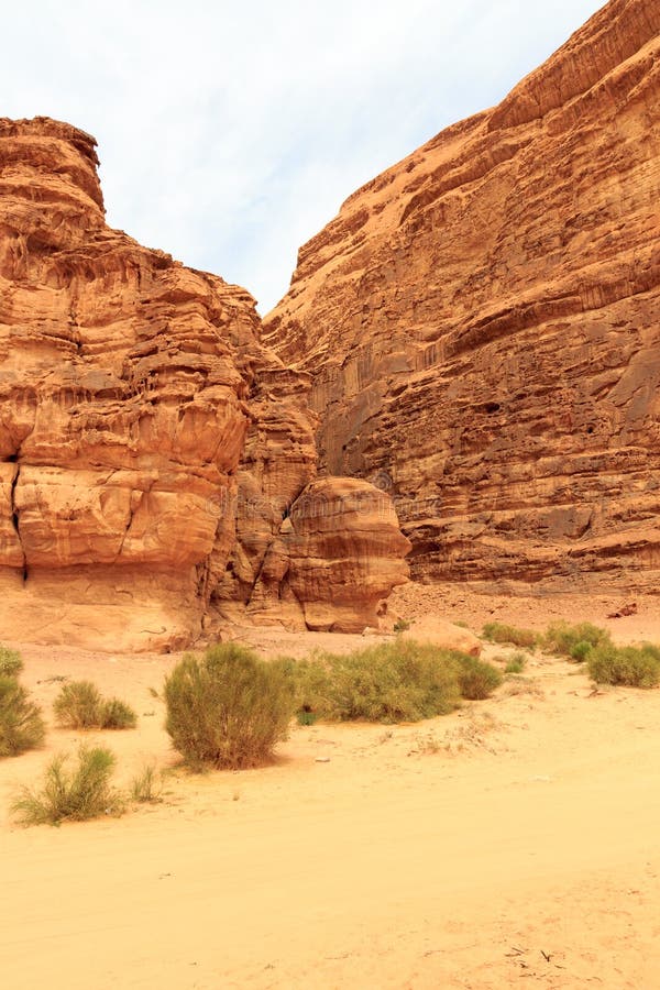 Rock Shaped Like a Head in Wadi Rum Desert, Jordan Stock Photo - Image ...