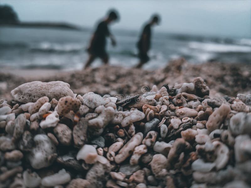 Rock shards stock image. Image of shards, rock, smooth - 223089799