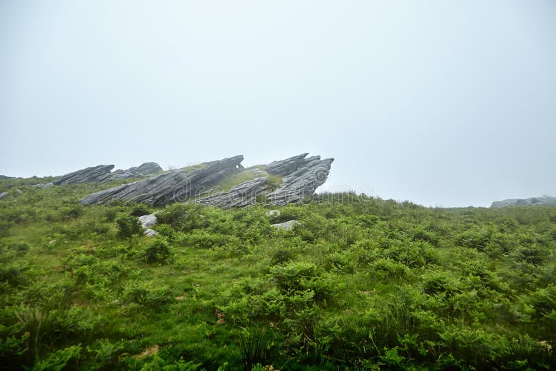Rock, Sharp Stones on a Green Hill in the Fog Stock Image - Image of ...