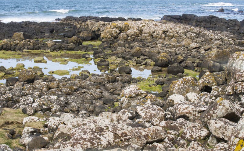 Rock Shoreline stock photo. Image of close, rocks, coast - 90760806