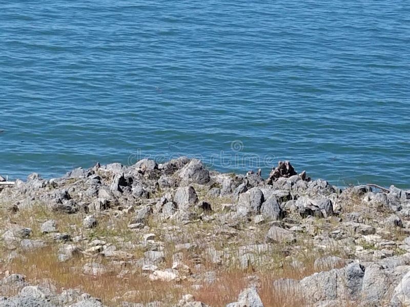 Rock side stock photo. Image of rock, water, leading - 98312992