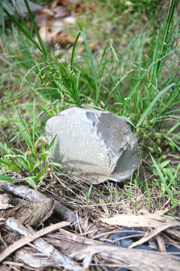 A Rock Sitting on the Ground in the Grass Stock Image - Image of ...