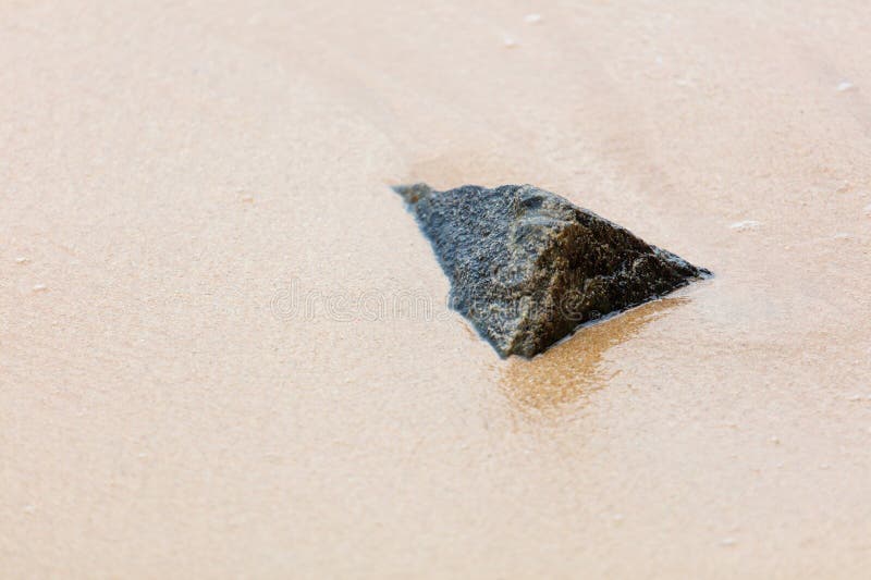 A Rock is Sitting on the Sand Stock Photo - Image of beach, shell ...