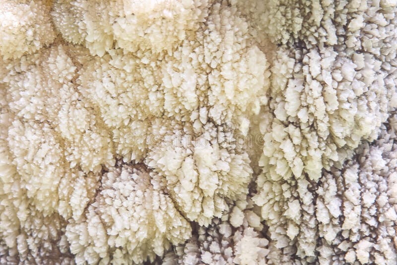 Rock Skin Texture Natural Patterns on Background Stock Photo - Image of material, layer: 248361462