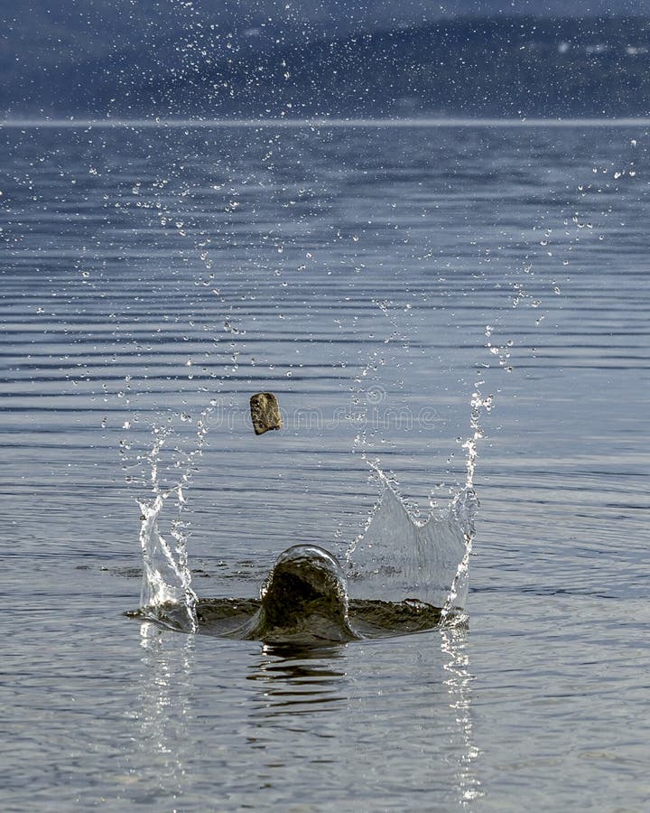Rock Skips Along the Water. Stock Photo - Image of reaction, natural ...