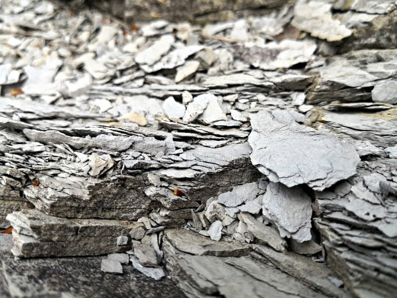 Rock Slices Eroded by Water Stock Photo - Image of details, texture ...
