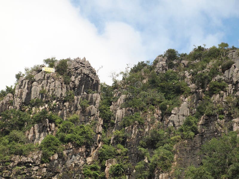 Rock Slope with Trees and Green Foliage Stock Photo - Image of nature ...