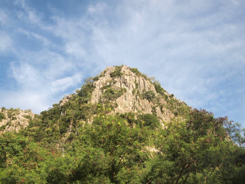 Rock Slope with Trees and Green Foliage Stock Image - Image of nature ...
