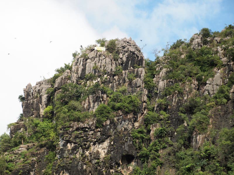 Rock Slope with Trees and Green Foliage Stock Image - Image of green ...