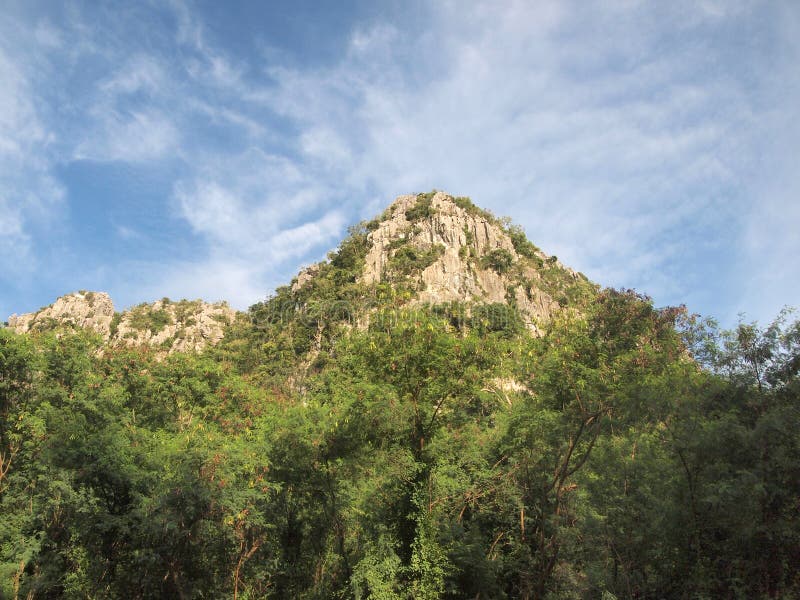 Rock Slope with Trees and Green Foliage Stock Image - Image of scenic ...