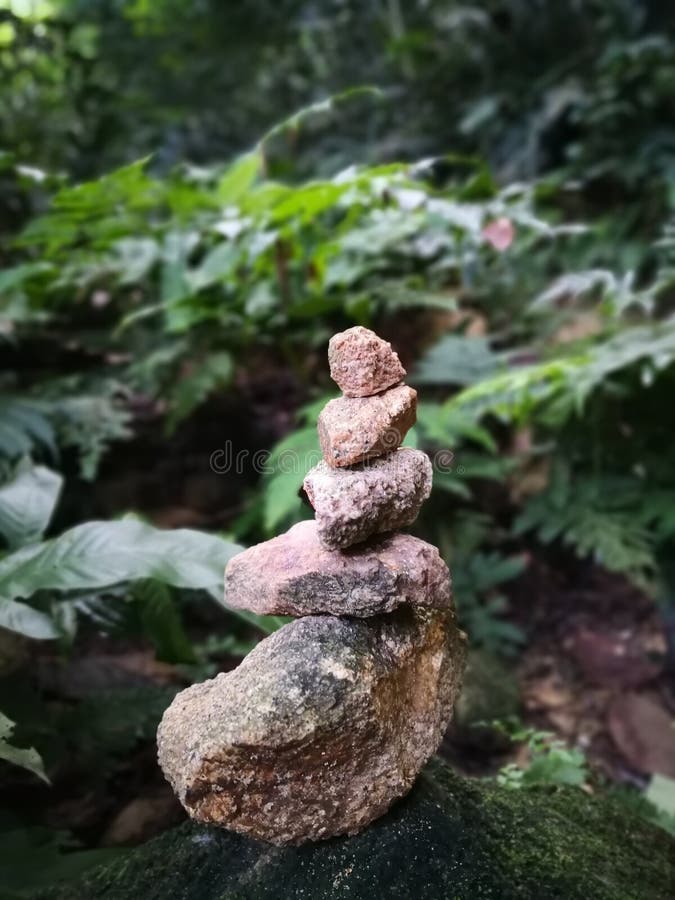 Rock Stacking in the Forest Stock Photo - Image of forest, hiking ...