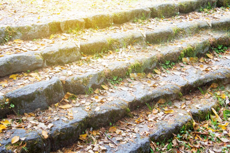 Rock step in the forest stock image. Image of ancient - 100791901