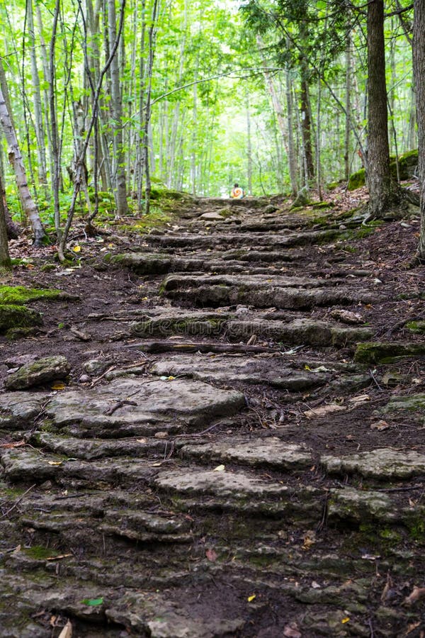 Hiking the Bruce Trail View Stock Image - Image of niagara, nature ...