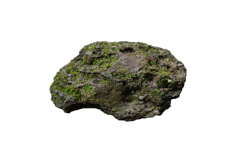 Rock Stone with Green Moss Isolated on White Background. Stock Image ...