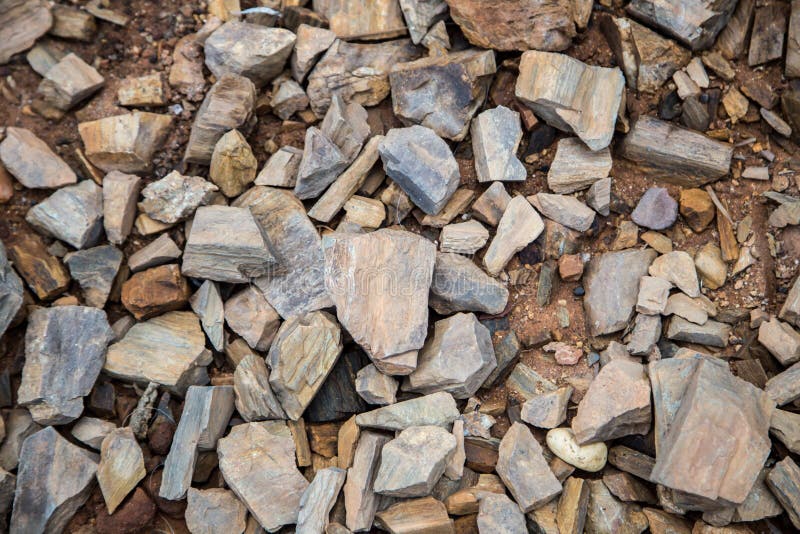 Rock on ground in backyard stock photo. Image of outdoor - 160365472
