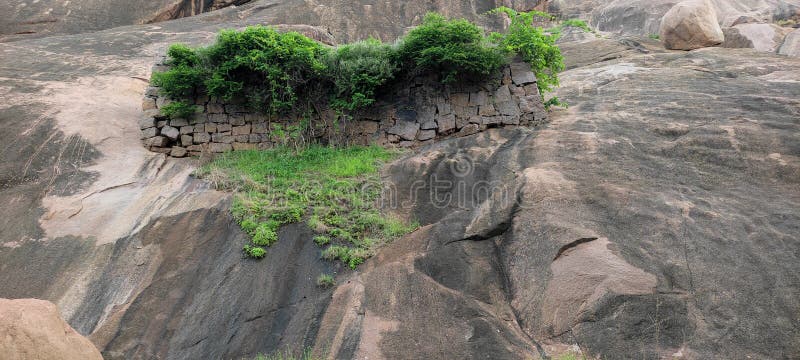 Rock Stone Middle Green Grass Bloom Background Stock Image - Image of ...
