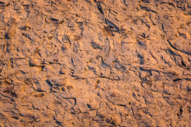 Rock or Stone Surface As Background Texture Stock Image - Image of ...