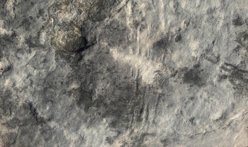 Rock, Stone, Textured. Background for Design Stock Image - Image of ...