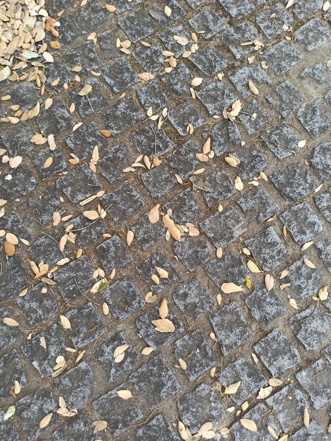 Top View Rock , Stone Walking Path in Autumn Stock Image - Image of ...