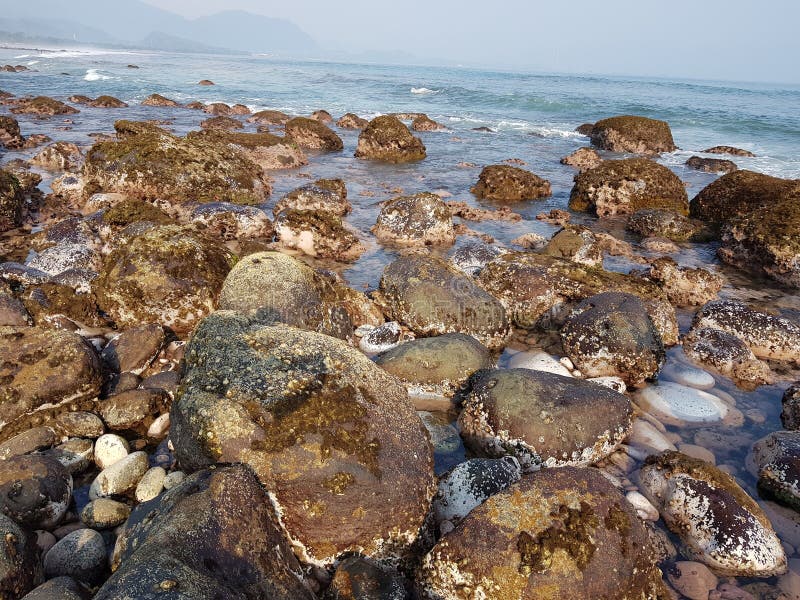 Rock Stone at west java stock photo. Image of stone - 184703472