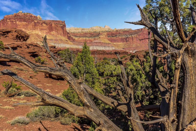 Rock Strata and Multi-colored Butte in Capital Reef National Park Stock ...