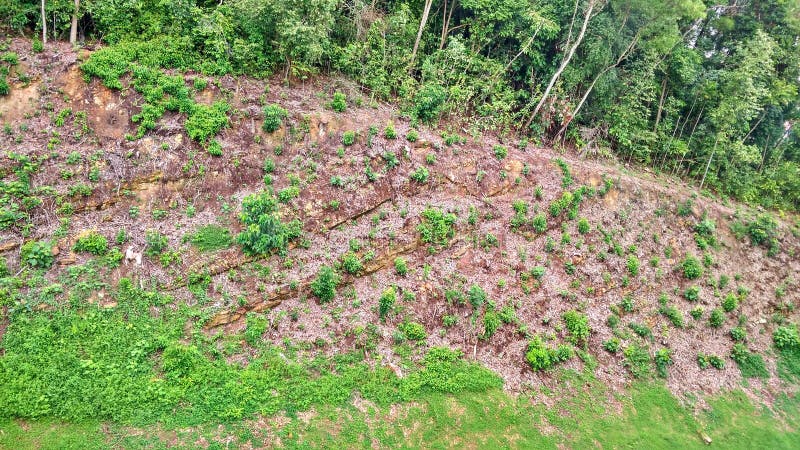 Rock strata - Singapore stock photo. Image of eroded - 92711390