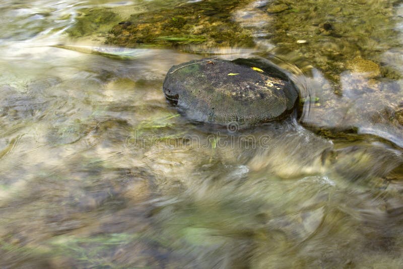 Rock in streaming water stock image. Image of eternal - 82013013