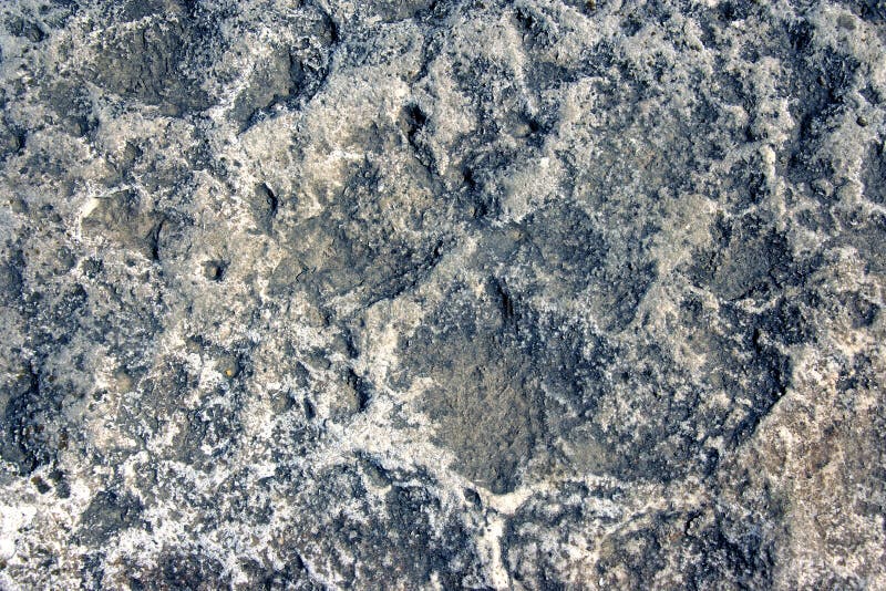 Rock surface. stock photo. Image of nature, surface - 119381898